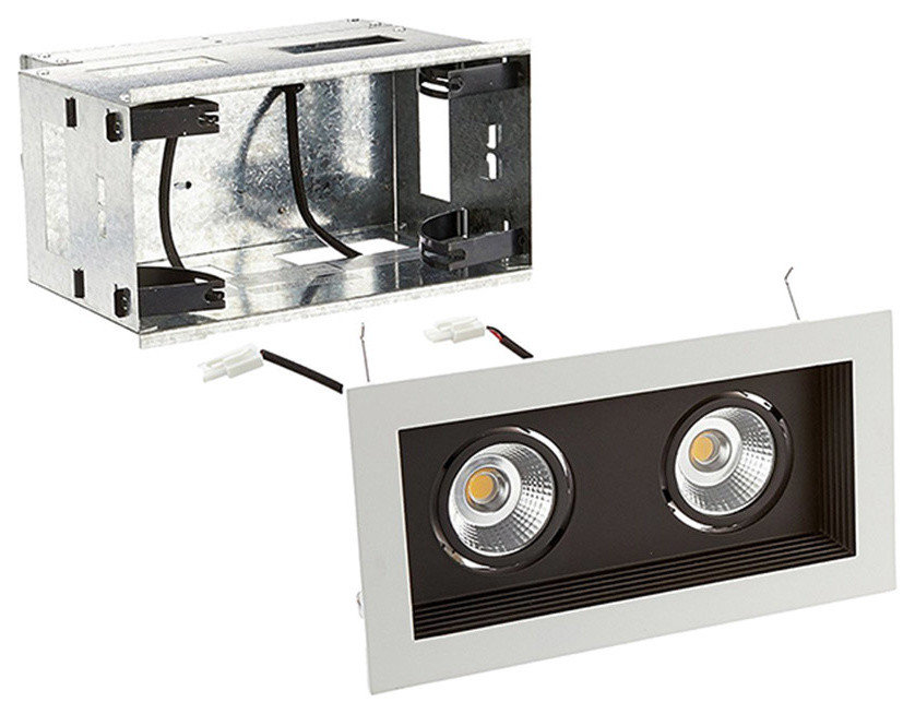 Mini Multiple LED Two-Light Remodel Housing With and-Light 4000K Flood ...