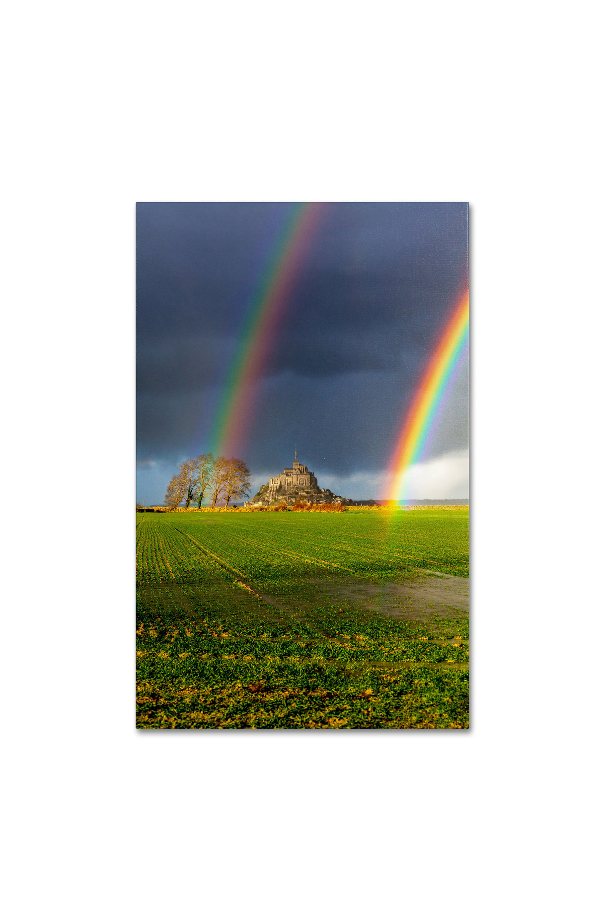 'Double Rainbow' Canvas Art by Mathieu Rivrin, 22" x 32" - Traditional ...