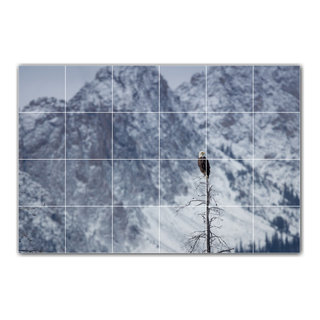 Bird Ceramic Tile Wall Mural HZ500177, 72" Wide x 48" High - Rustic ...