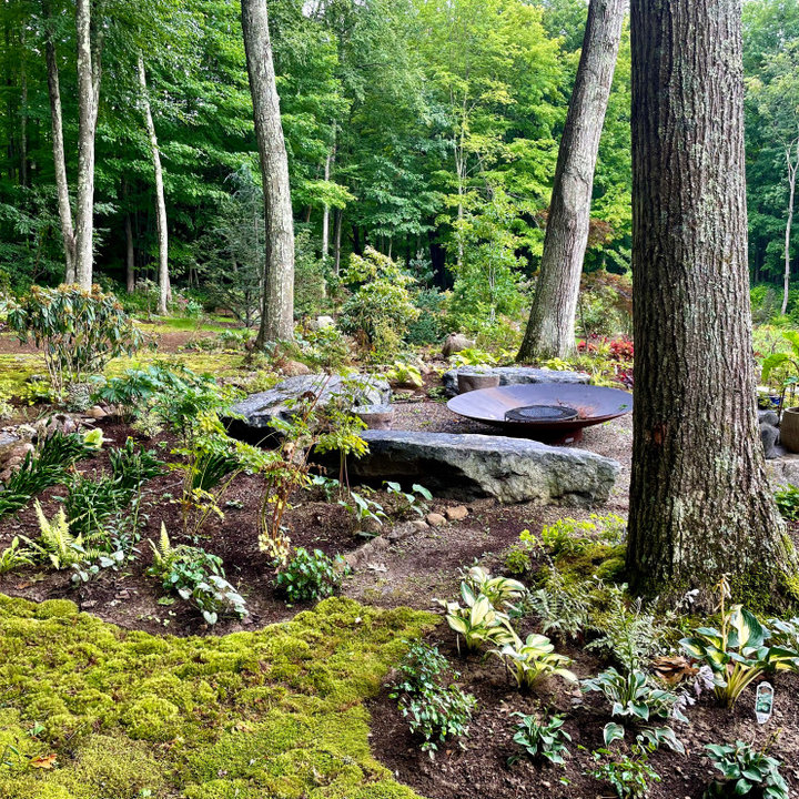 75 Beautiful Asian Garden Ideas & Designs - July 2025 | Houzz AU