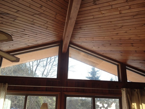 Stained T1 11 Ceiling | Americanwarmoms.org