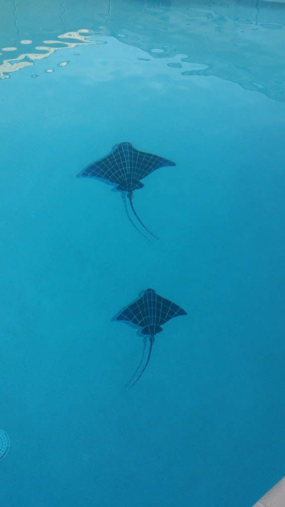 Ray Ceramic Swimming Pool Mosaic, 29"x20" - Beach Style - Accent Trim ...