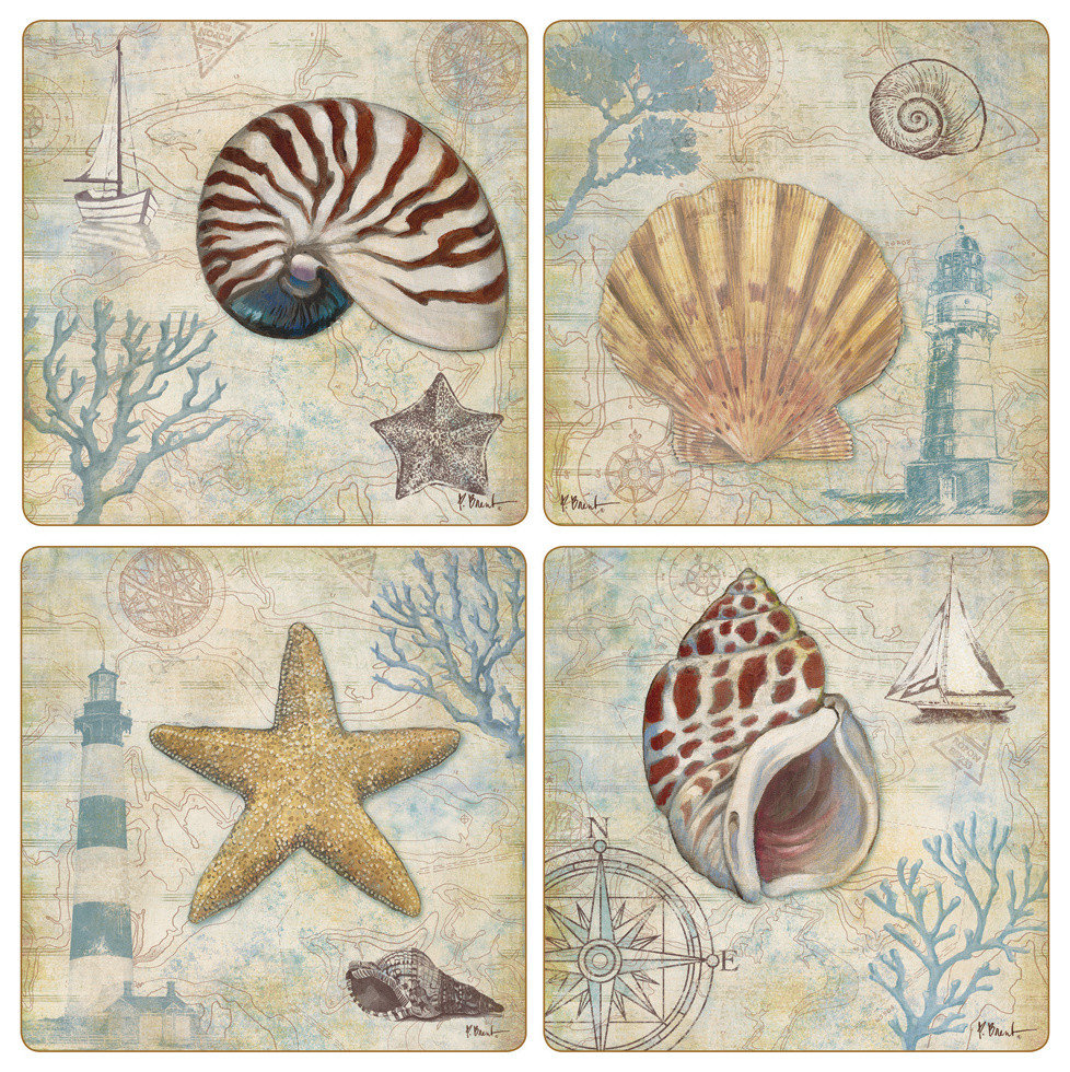 Discovery Shells Stone Coasters, Set of 8, 4.5x1.38x1.38 - Beach Style ...