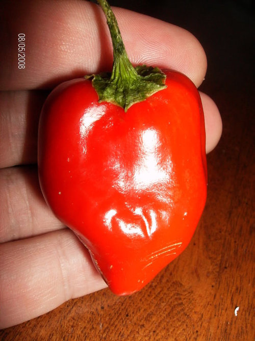 Heart shaped pepper