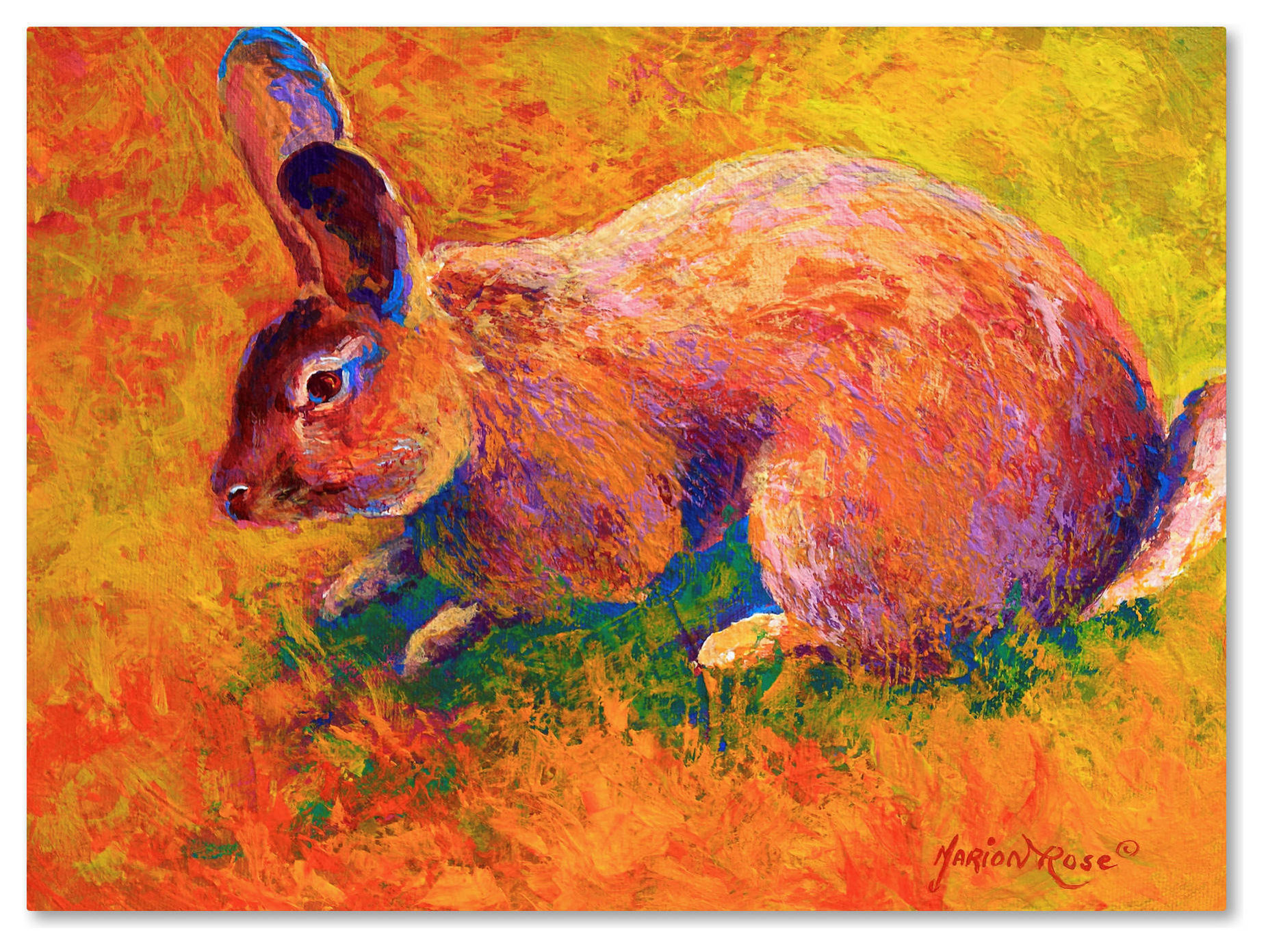 Marion Rose 'Rabbit 1' Canvas Art, 14"x 19" - Farmhouse - Prints And ...