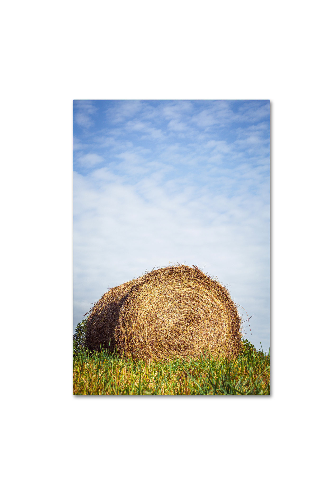 Jason Shaffer 'Ashland' Canvas Art, 12"x19" - Farmhouse - Prints And ...