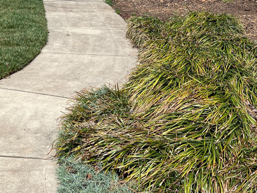 Edging/border Suggestions