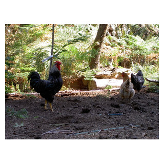 Hobby Farm - Farmhouse - Landscape - Vancouver - by Marcon Urban Design ...