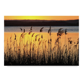 Incredi 'Flowers Over Water' Canvas Art, 32"x22" - Contemporary ...