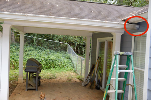 Squirrels nesting in space between ceiling and roof of patio cover