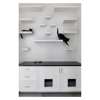 Organic Modern Cat Room - Modern - Austin - by Kelley Design Group | Houzz