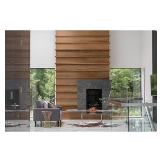 House of the Hill - Contemporary - Toronto - by Design Generation, by ...