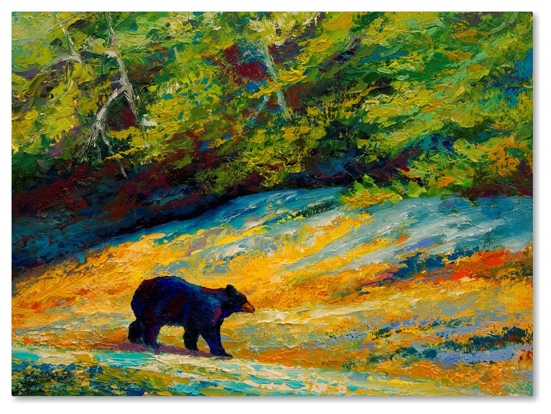 Marion Rose 'Beach Lunch Black Bear' Canvas Art, 18"x 24" - Rustic ...