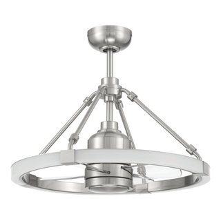 Levy 1 Light 19 in. Indoor Ceiling Fan, Brushed Polished Nickel ...