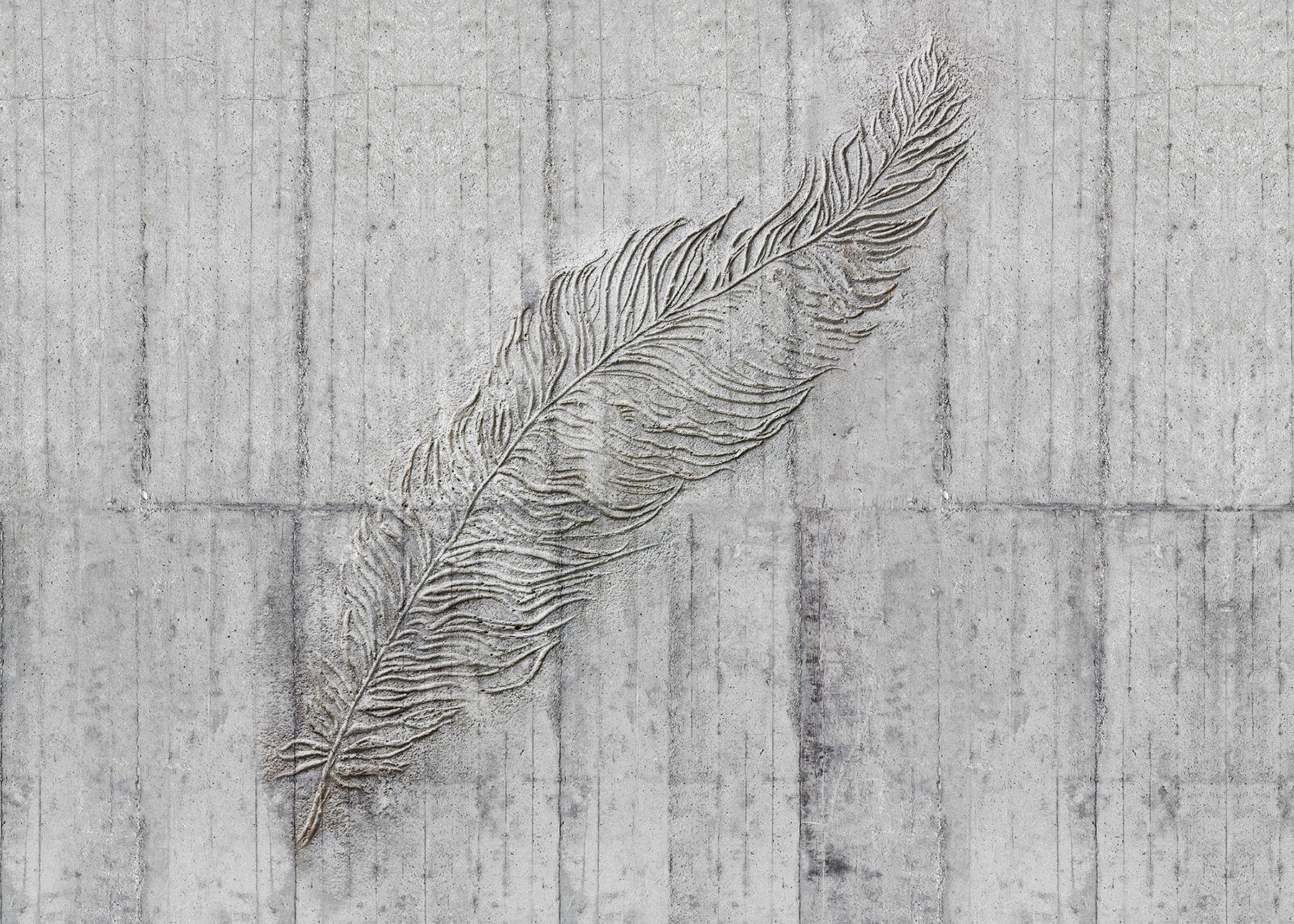 Concrete Feather Wall Mural - Contemporary - Wallpaper - by Brewster ...