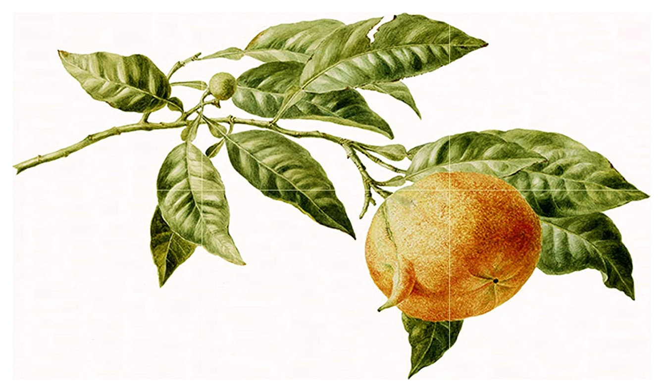 Tile Mural Mandarin branch leaves Kitchen Backsplash, 6" Ceramic Matte ...