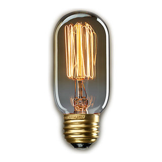 Nostalgic Radio Spiral Filament Bulb, 40 Watt - Transitional ...