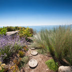 Beachfront Bliss - Beach Style - Landscape - by Douglas Landscape Design