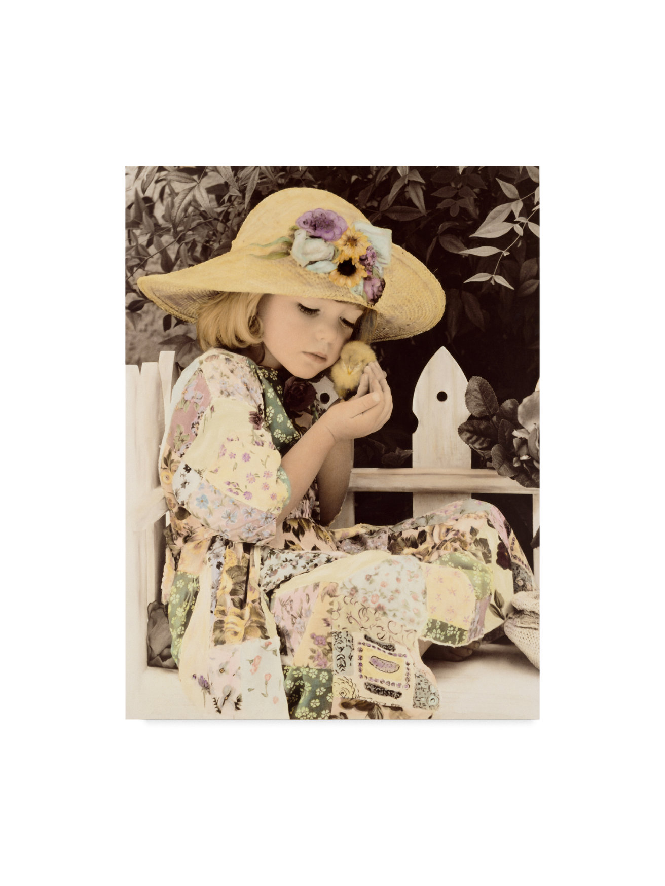 Sharon Forbes 'Cheek To Chick' Canvas Art, 19"x14" - Farmhouse - Prints ...