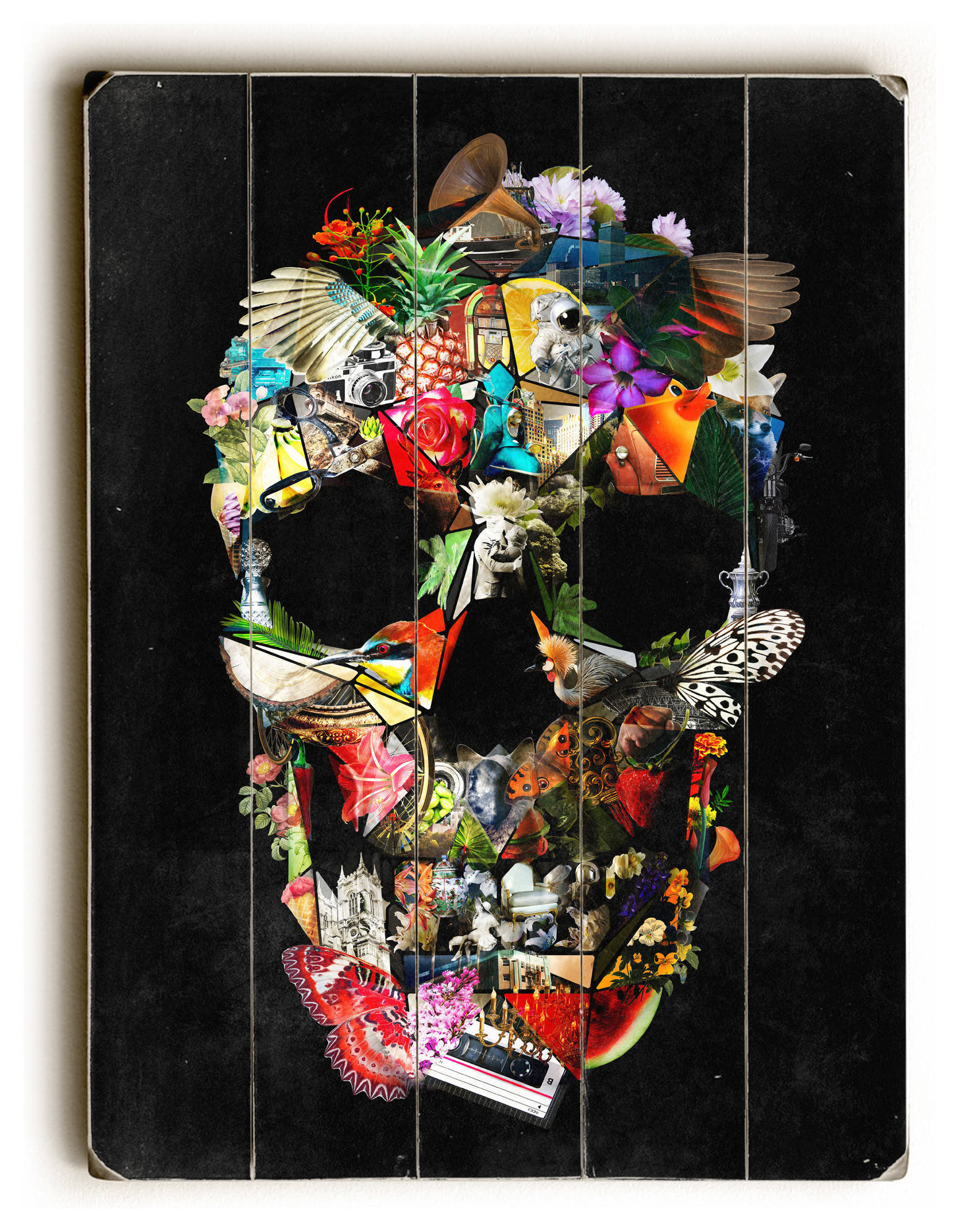 "Fragile", Multi Wall Decor By Ali Gulec, 30"x40" - Eclectic - Prints ...