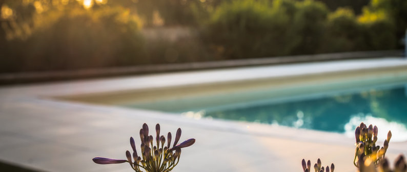 ANGELIQUE BERRY GARDEN DESIGN - Project Photos & Reviews - Epsom ...