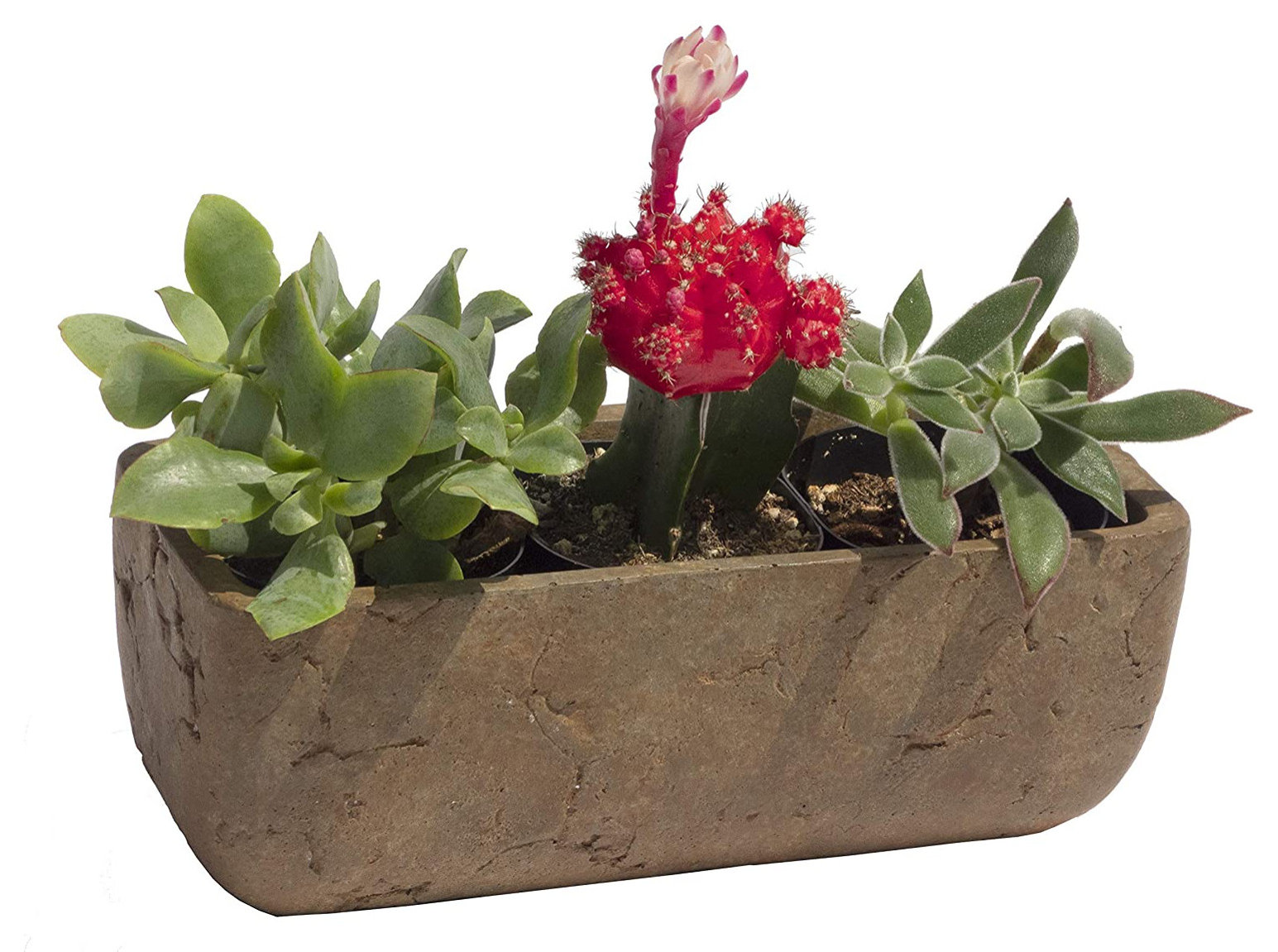 Classic Home and Garden Planter Rustic, Large - Rustic - Outdoor Pots ...
