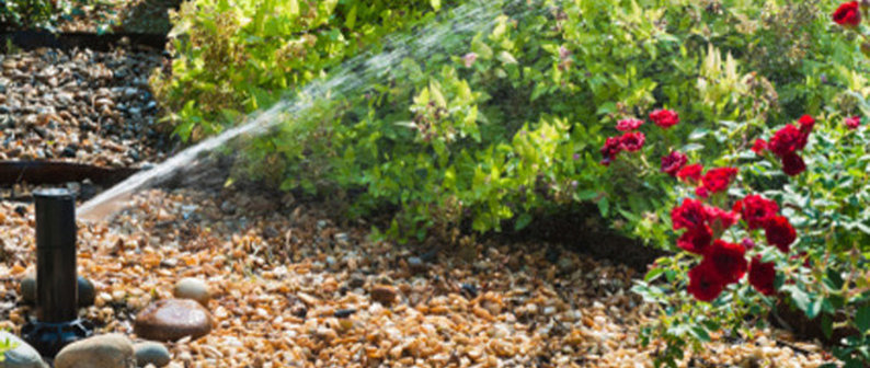 SUPER SOD CANADA - Project Photos & Reviews - Oakville, ON CA | Houzz