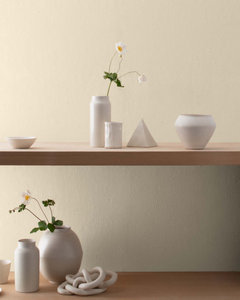 Best Greige paint color that won’t look dingy