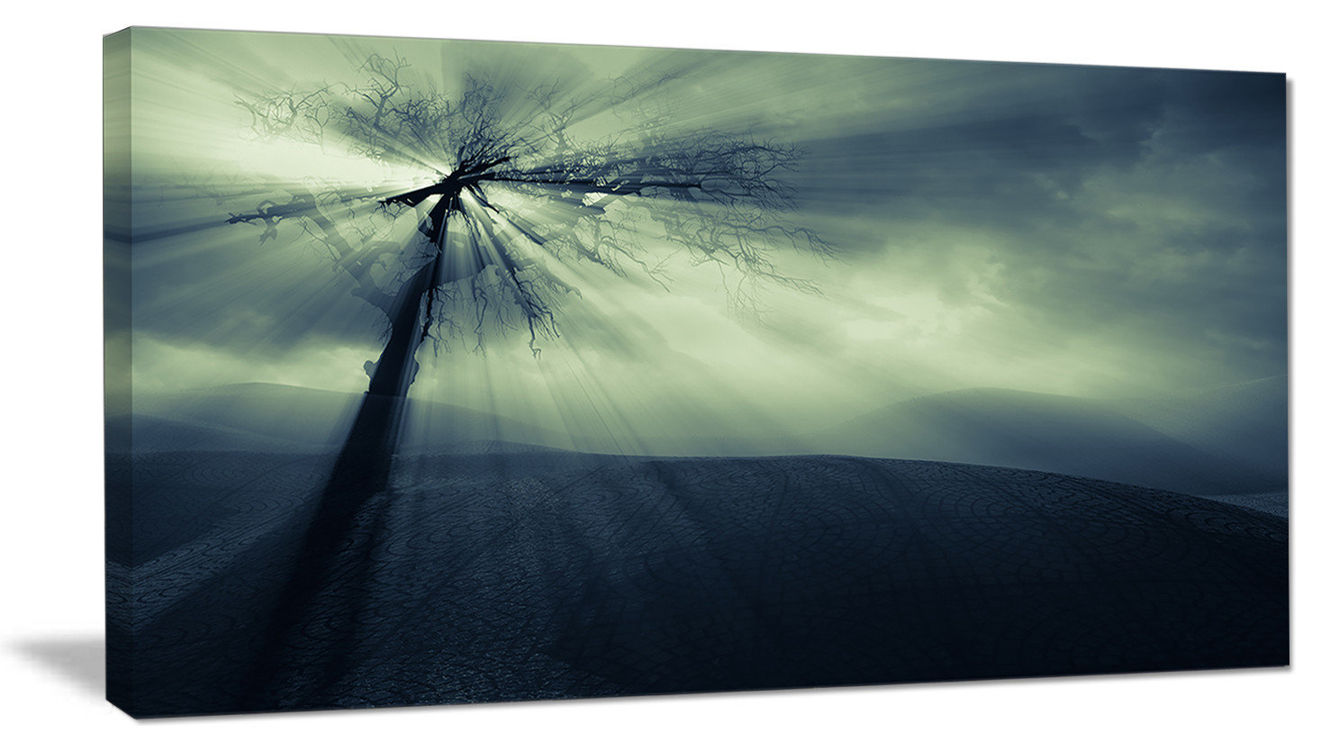 "Lifeless Tree in The Mysterious Land" Modern Wall Art, 40"x20 ...