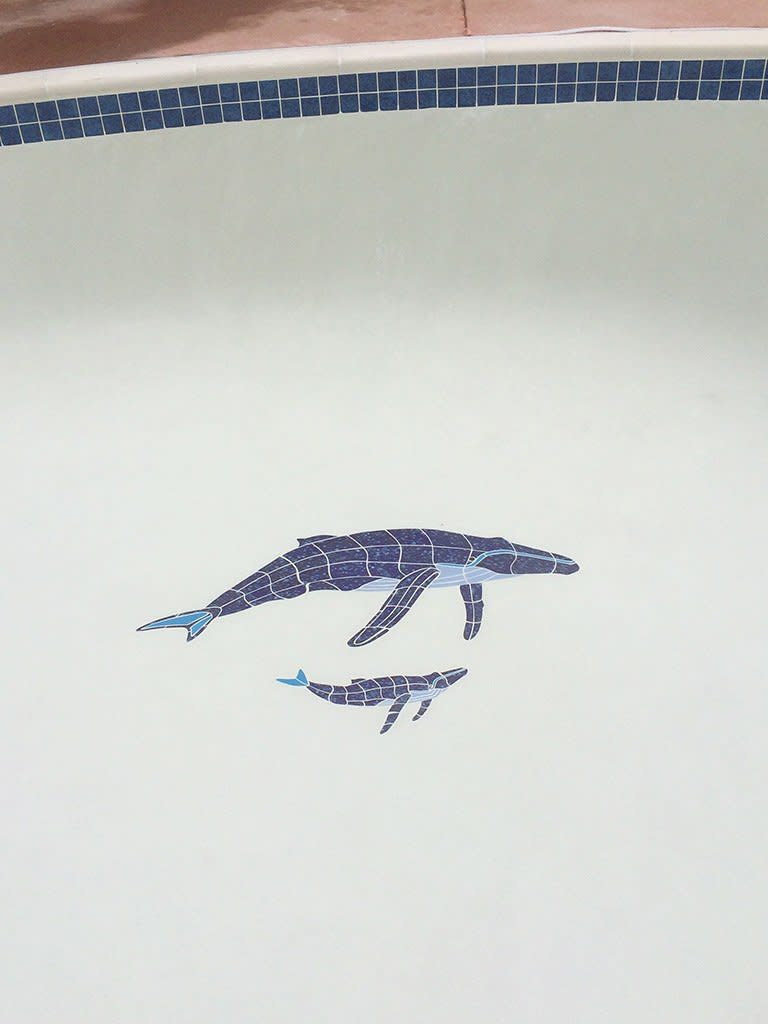 Humpback Whale & Baby Ceramic Swimming Pool Mosaic, 48"x25" - Beach ...