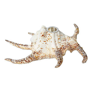 Chiagra Spider Shell Taper Candle Holder with Sterling Silver - Beach ...