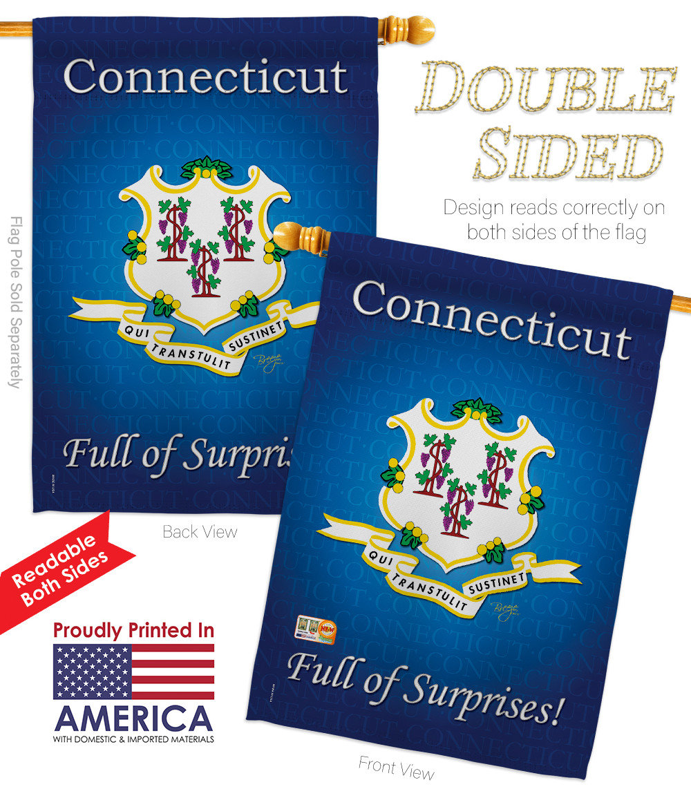 Connecticut Americana States House Flag Set, 28" X 40" X 0.1" - Modern ...
