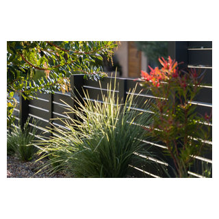 Layered greenery and modern fencing - Modern - Landscape - Orange ...