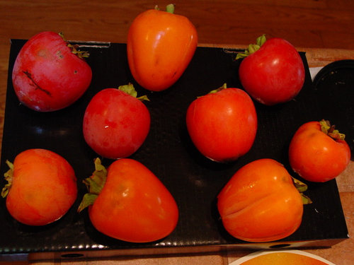 My Asian persimmon winners.