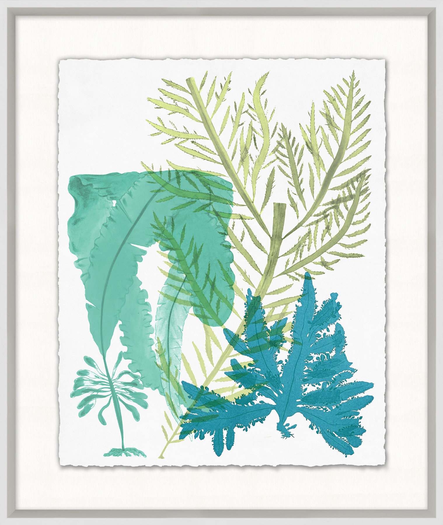 Deep Sea Kelp 6, Giclee Reproduction Artwork, 21x25 - Beach Style ...