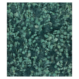 Chandra Riza RIZ-19504 Rug Rug, 5'x7'6" - Contemporary - Area Rugs - by ...