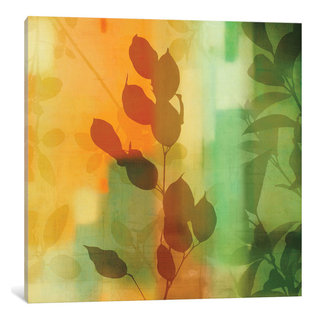 "Nature's Glow II" by Chris Donovan, Canvas Print, 12x12x1.5 ...