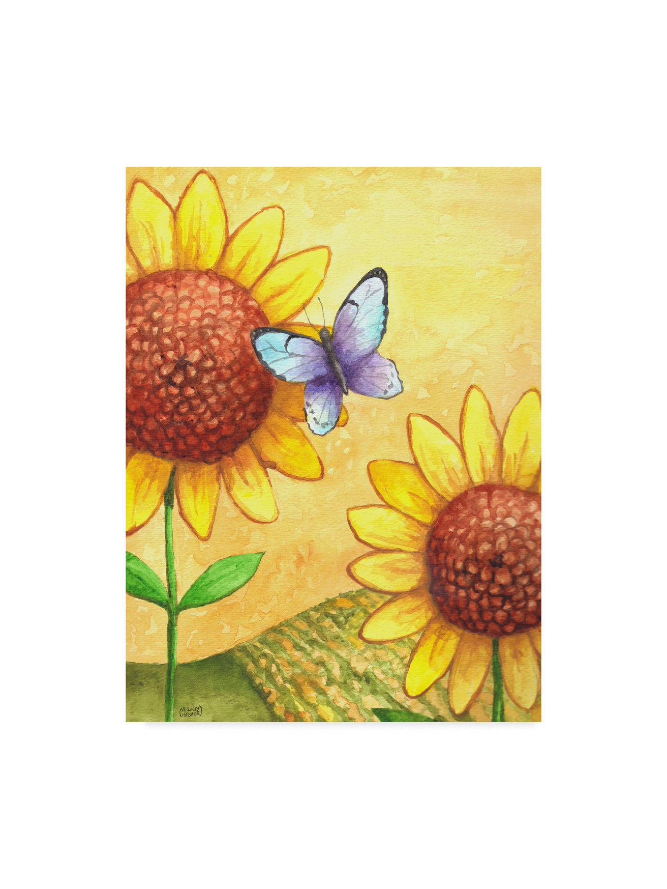 Melinda Hipsher 'Sunflower And Butterfly' Canvas Art, 32"x24 ...