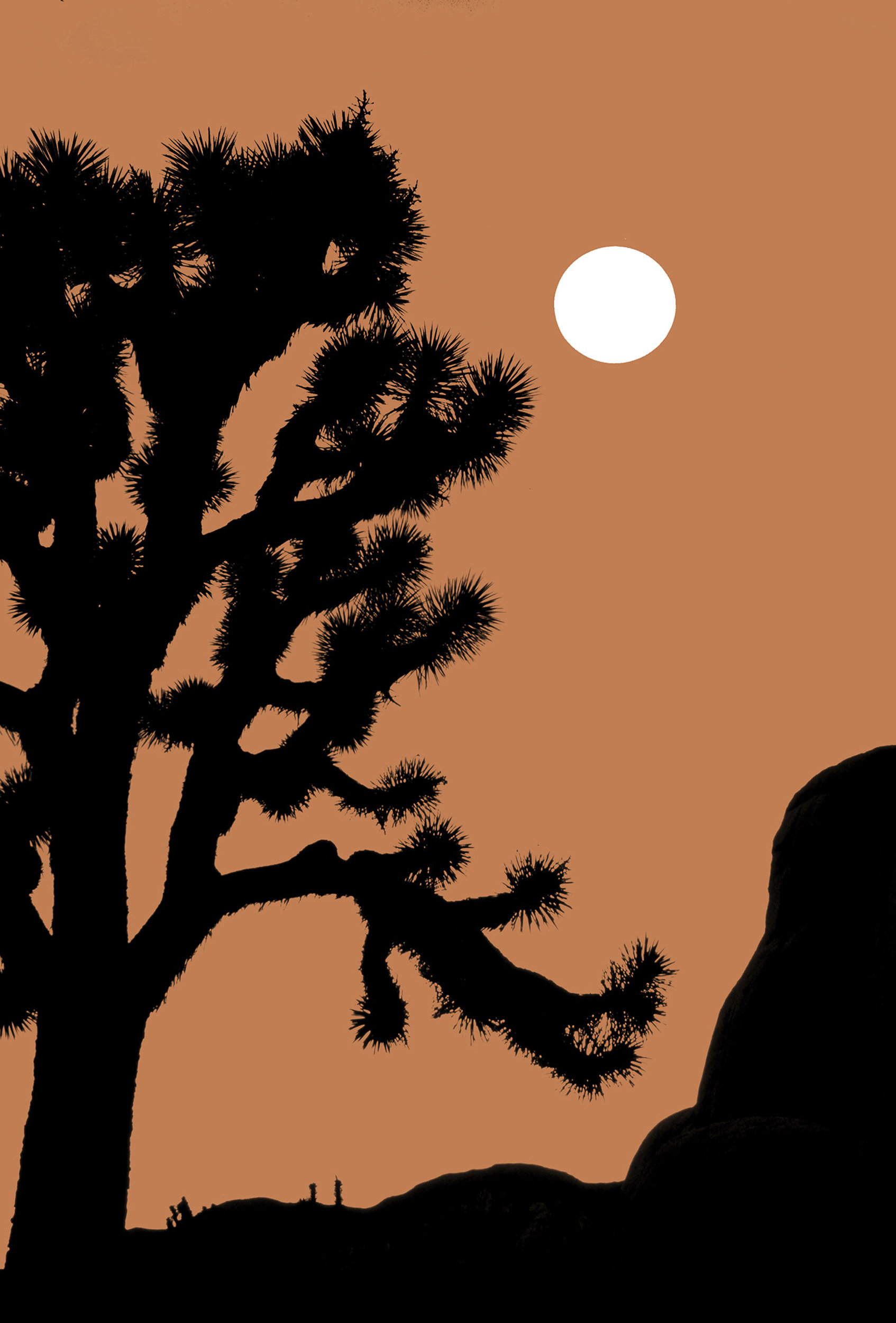 Joshua Tree Dance 5 - Contemporary - Prints And Posters - by Wendover ...