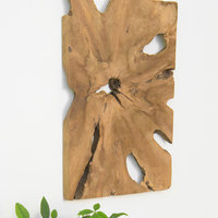Sliced Teak Root Wall Art - Rustic - Wall Accents - by Best Home ...
