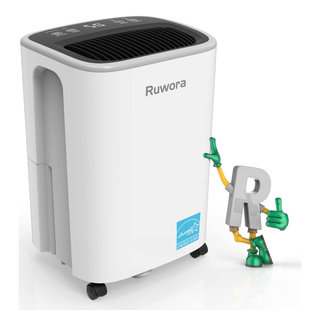 Dehumidifier 2500 Sq.Ft 30 Pint, Dehumidifiers With Drain Hose, 0.66 ...
