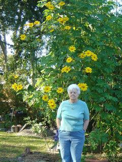 Tithonia report.