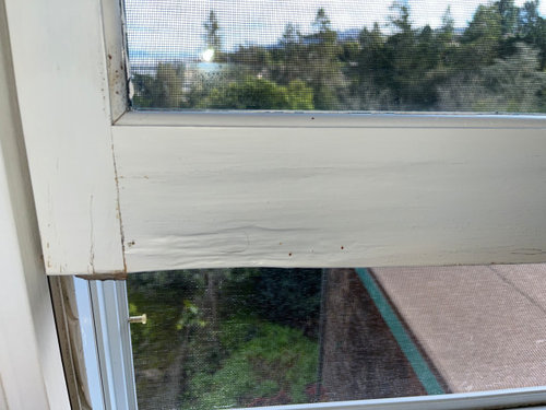 Repair Marvin Window Sash | Houzz Forum