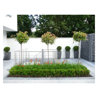 Formal planting along house entrance path - Modern - Garden - Dublin ...