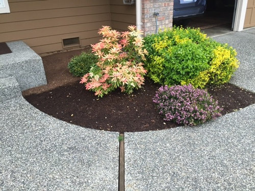 Please help spruce up boring front yard!