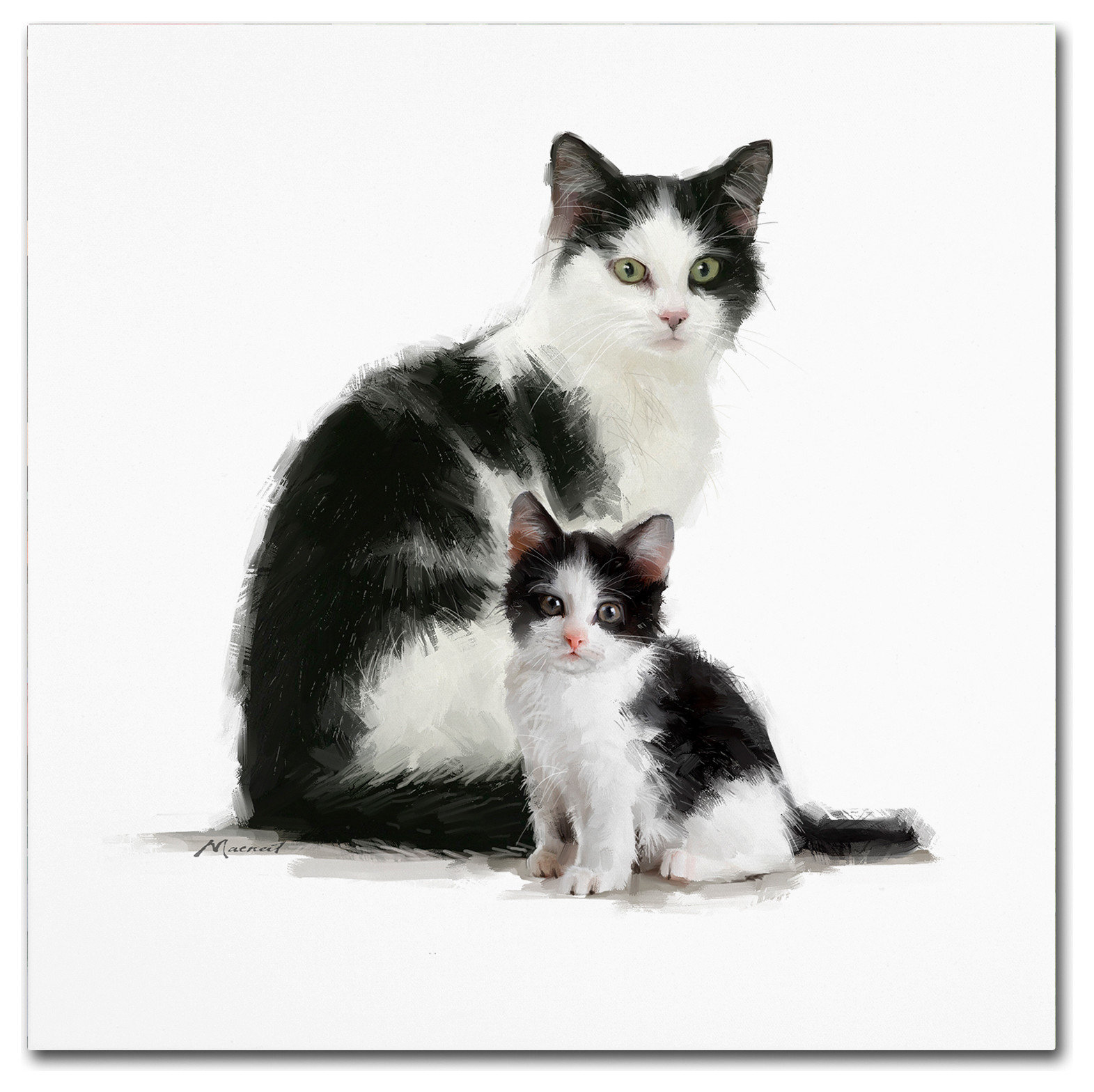 The Macneil Studio 'Black and White' Canvas Art, 35"x35" - Contemporary ...