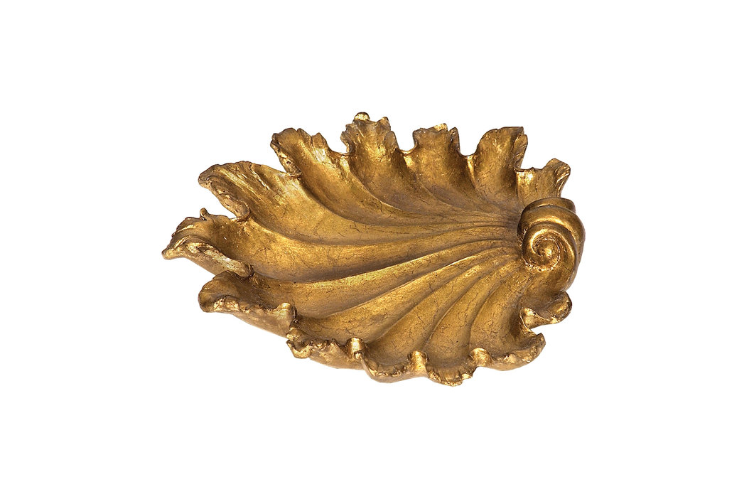 Fan Shell Dish - Traditional - Home Decor - by GwG Outlet | Houzz