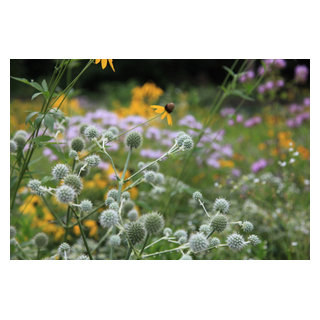 Bryn Mawr, PA - Native Meadow Design/Install - Craftsman - Landscape ...