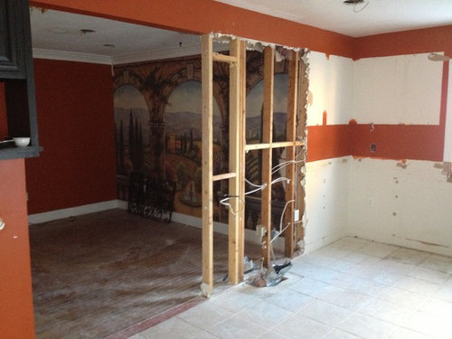 Totally Gutted House - Now What? | Houzz Forum
