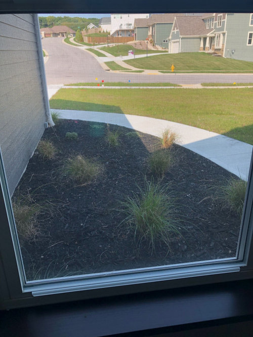 front yard driveway landscaping with Japanese maple